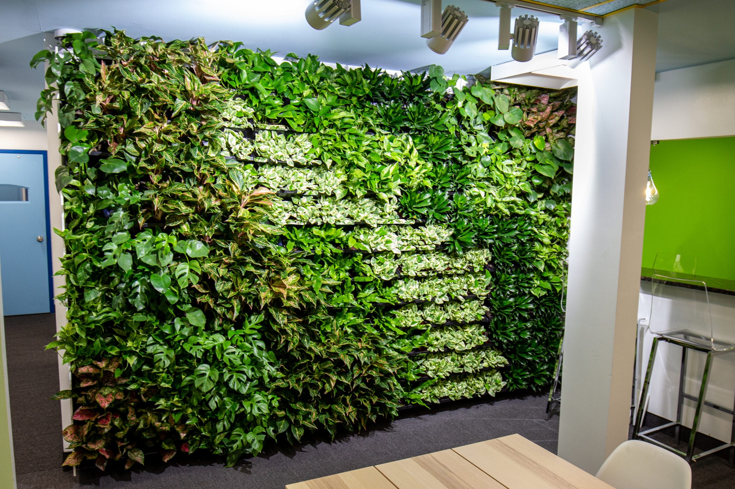5 Benefits of a Living Plant Walls in Your Office Space